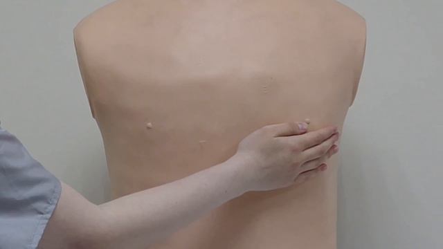 Определение относительных границ сердца (аккредитация)