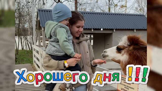 Врываемся в лето 💯🌺 Международный день защиты детей🌞❤️🙏