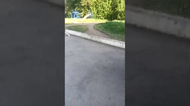вечерний стрим