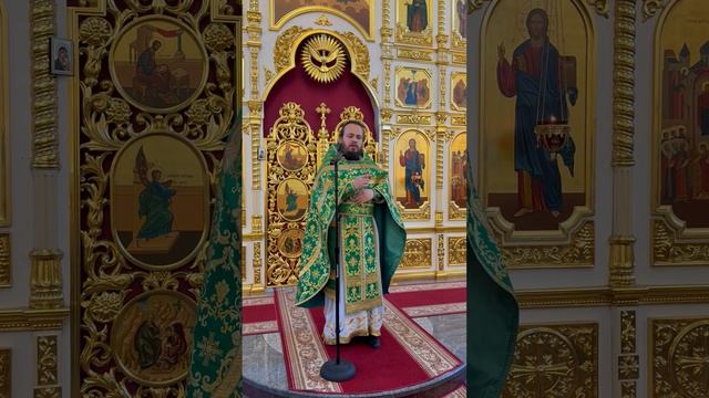 День Святой Пятидесятницы. Проповедь. Иерей Владимир Плотников