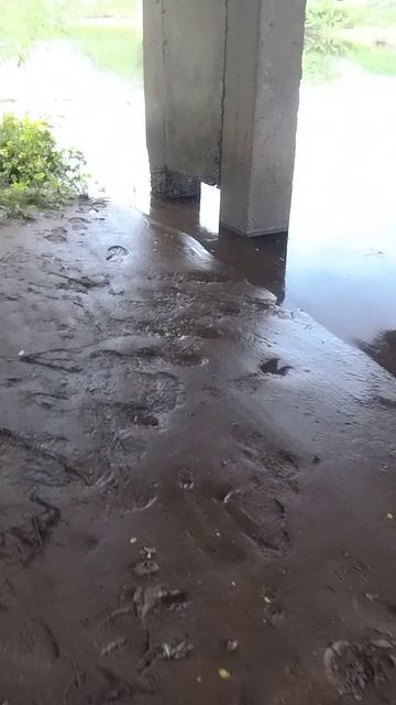 Окунь на микроколебалку! Рыбалка под мостом на микроречке! Май 2026!