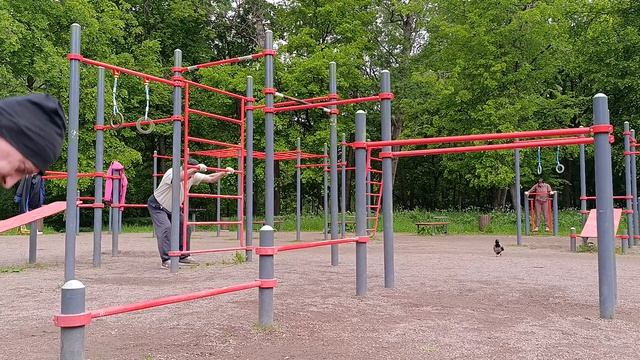 День третий 150 отжиманий