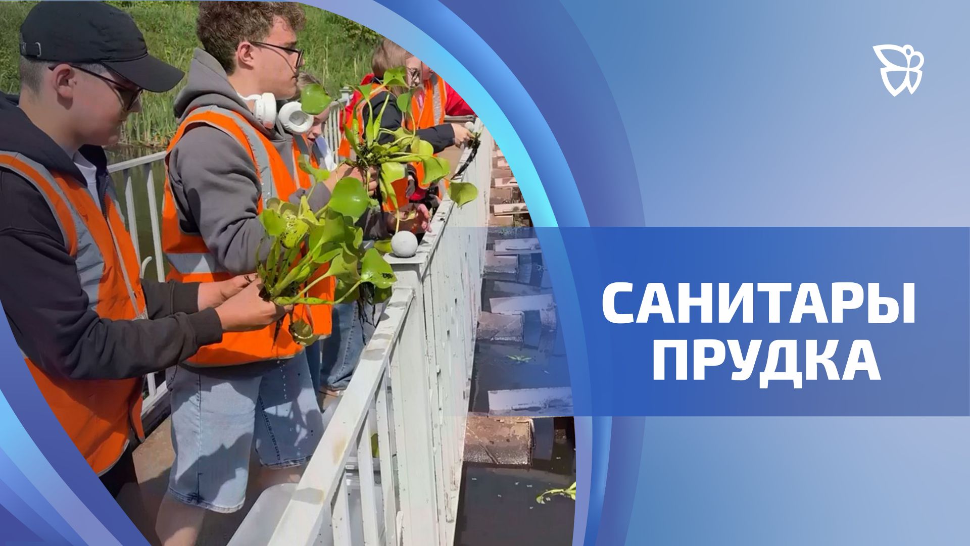Тропические растения сделают чище пруд в Нижнем Тагиле