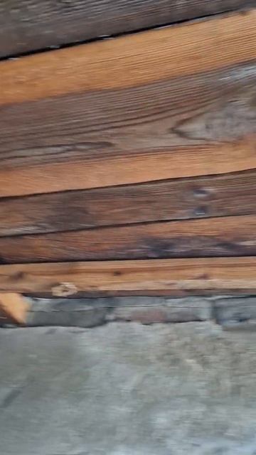 Удаление плесени в Москве и Московской области
