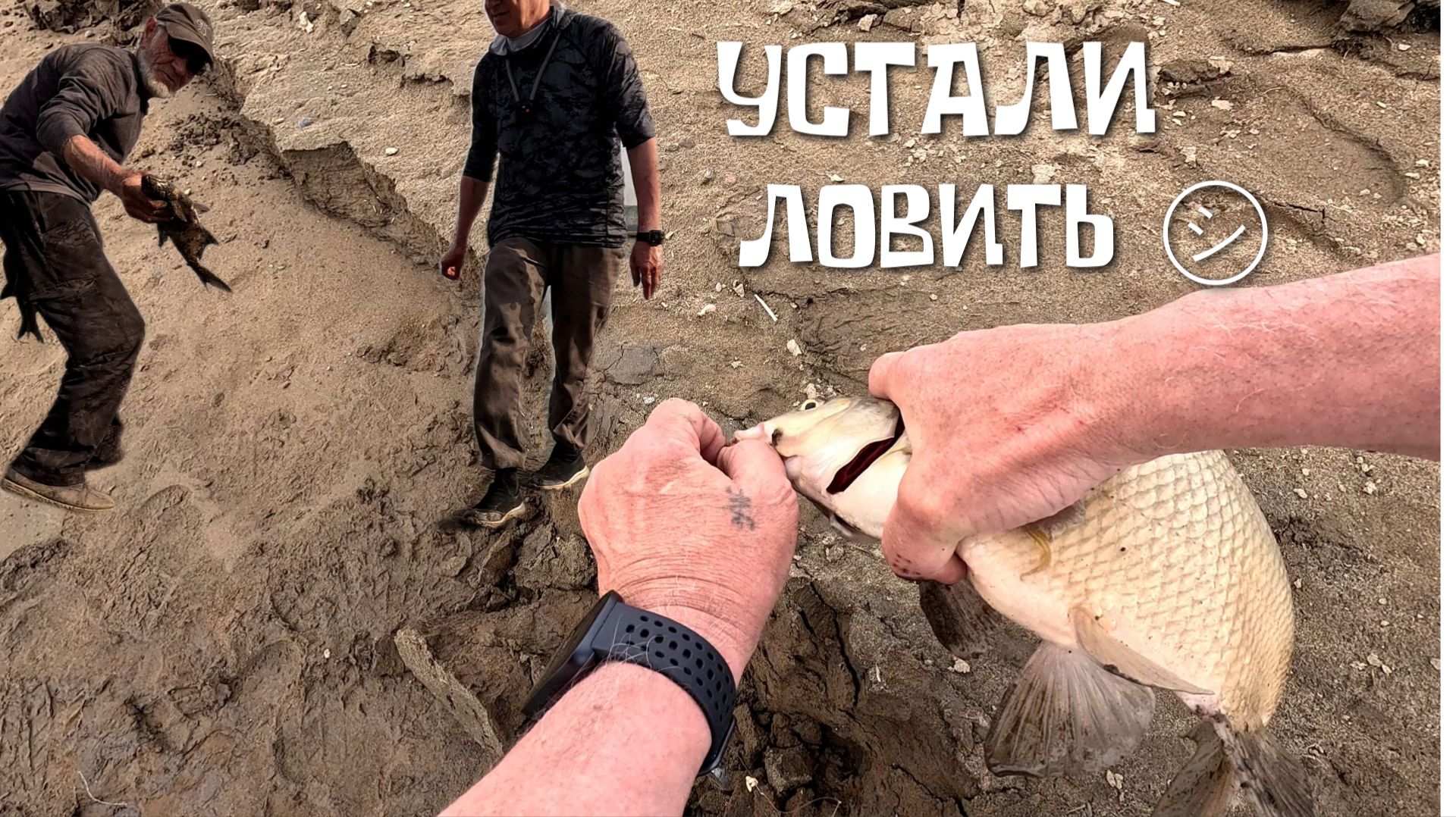 Воды нет. Рыба есть. Листвягово 2026.Конец весны.