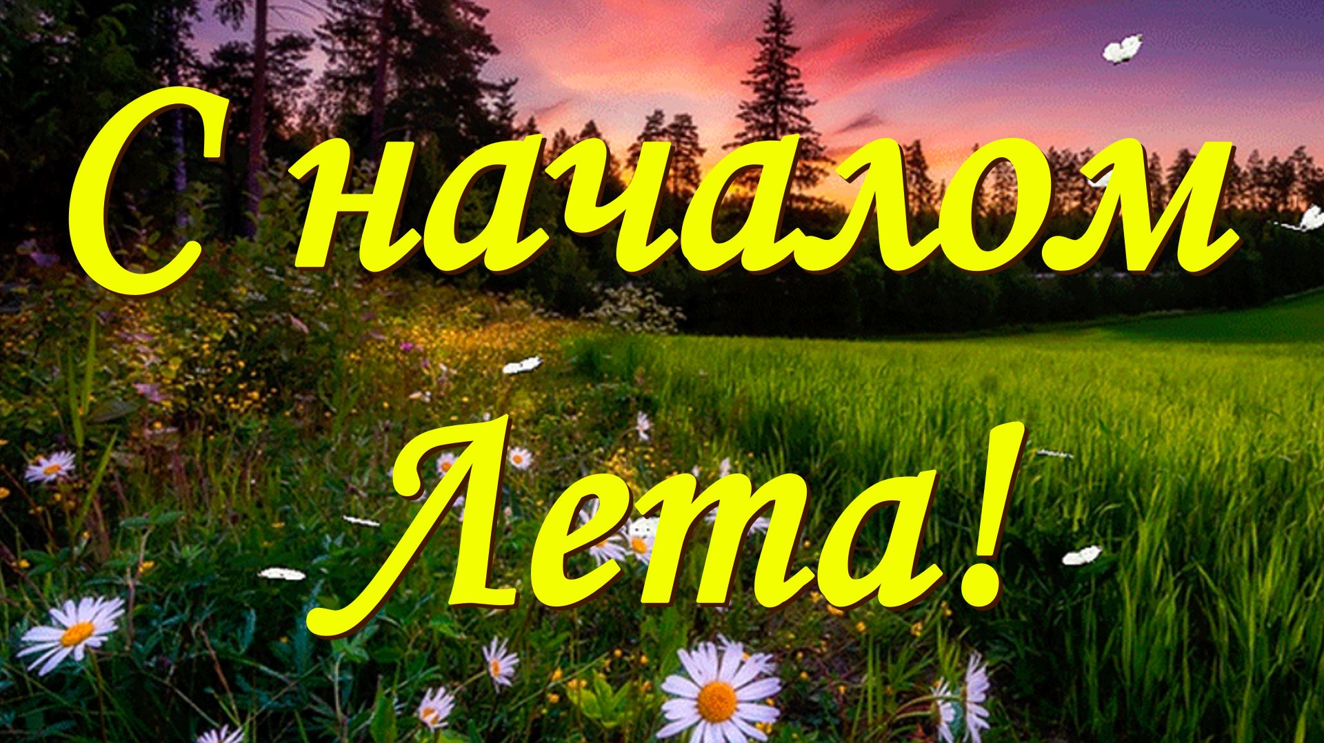 С началом Лета!