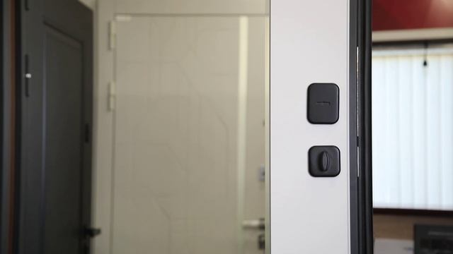 Стальная дверь Ledo с зеркалом c электронной дверной ручкой Smart lock T888