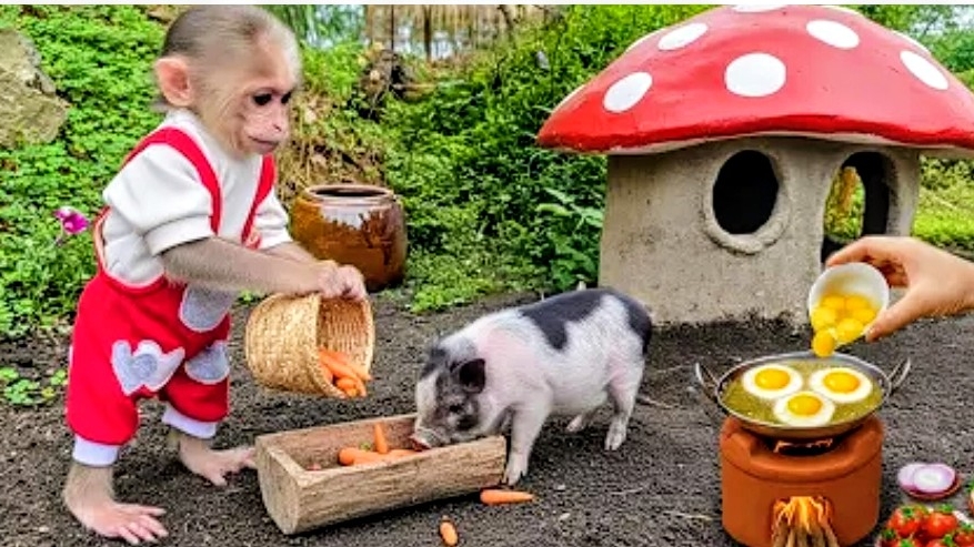 Жизнь маленькой обезьянки и её друзей18часть 🐵🐒🐷