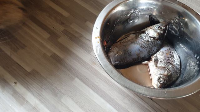 КОТ ЕСТ РЫБУ