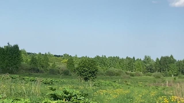 д. Моденово 50:18:0080412:1437