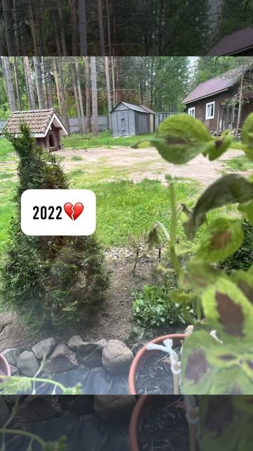 Прайм вернулся 🥳🥹 2026_2021 ❤️