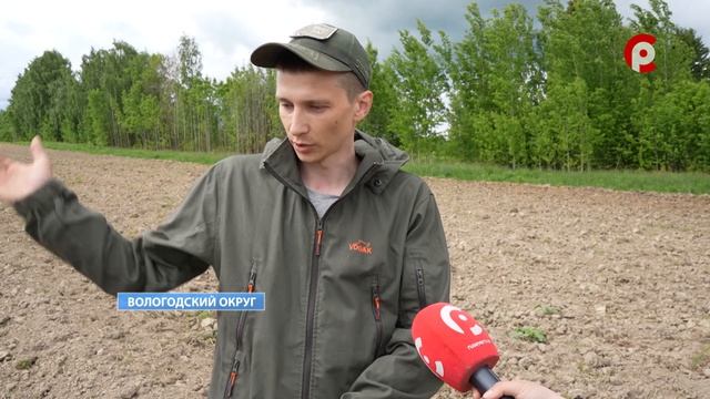 К 115-летнему юбилею Вологодской ГМХА высадили более 7 тысяч саженцев сосны.