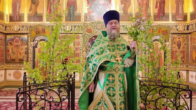 Отец Димитрий Лин_ПРОПОВЕДЬ_ТРОИЦА_31.05.2026