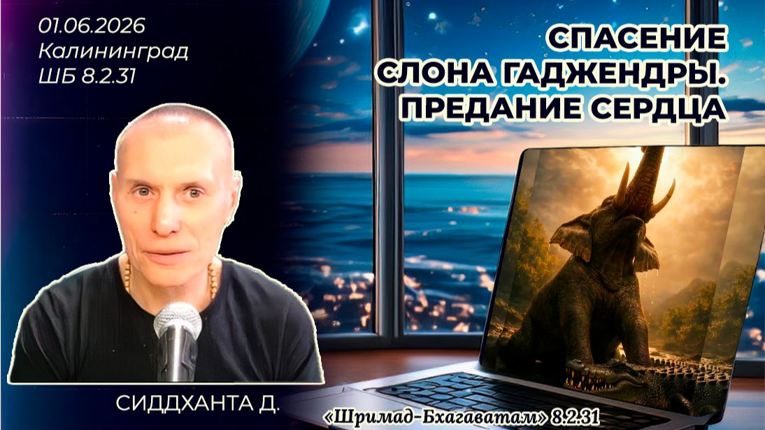 Спасение слона Гаджендры. Предание сердца. Сиддханта д. «Шримад-Бхагаватам» 8.2.31