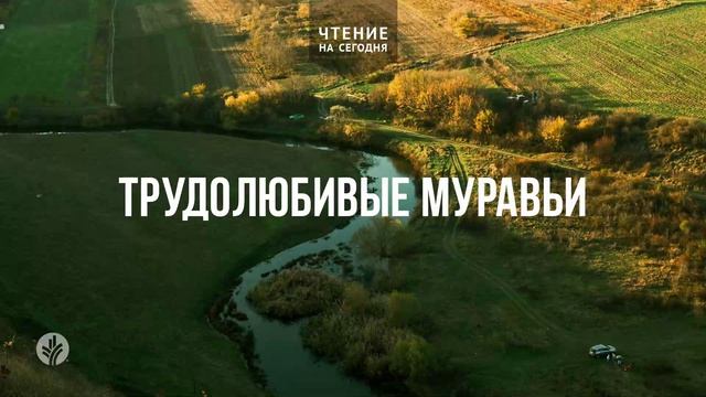 ТРУДОЛЮБИВЫЕ МУРАВЬИ  | АУДИО |	19	  июня 2026