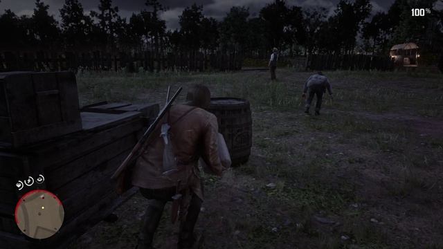 Red Dead Redemption 2 . Прохождение 13