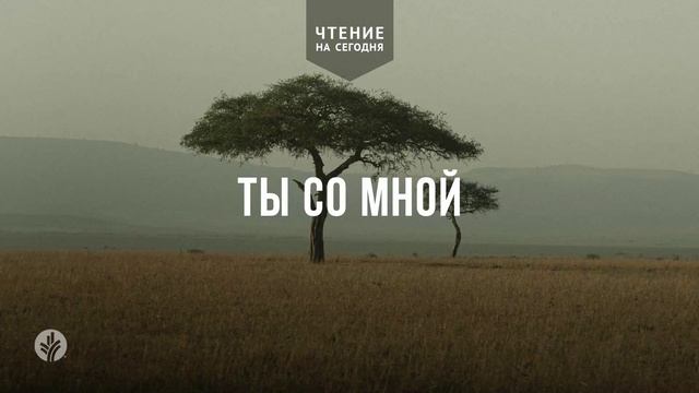 ТЫ СО МНОЙ  | АУДИО |	24	  июня 2026