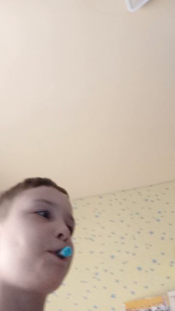 Комар и я Финал