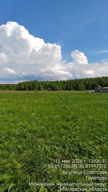 д. Горетово 50:18:0070402:1116