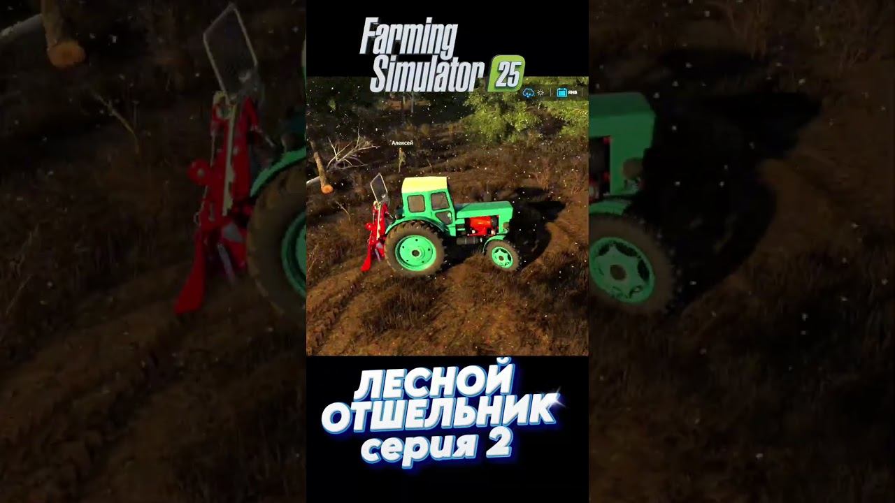 Заготовка леса на продажу.
