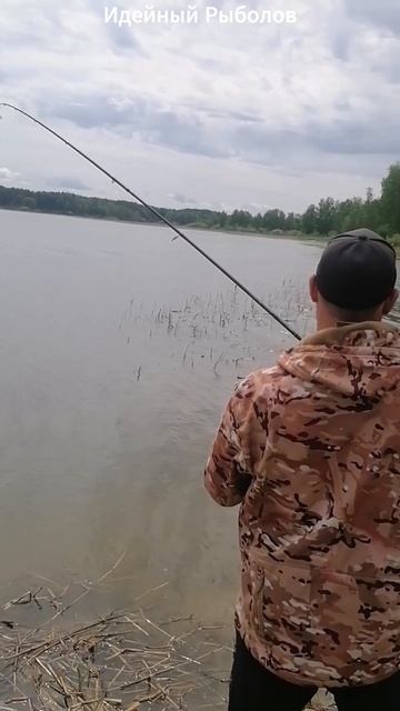 Ввалился сазанчик