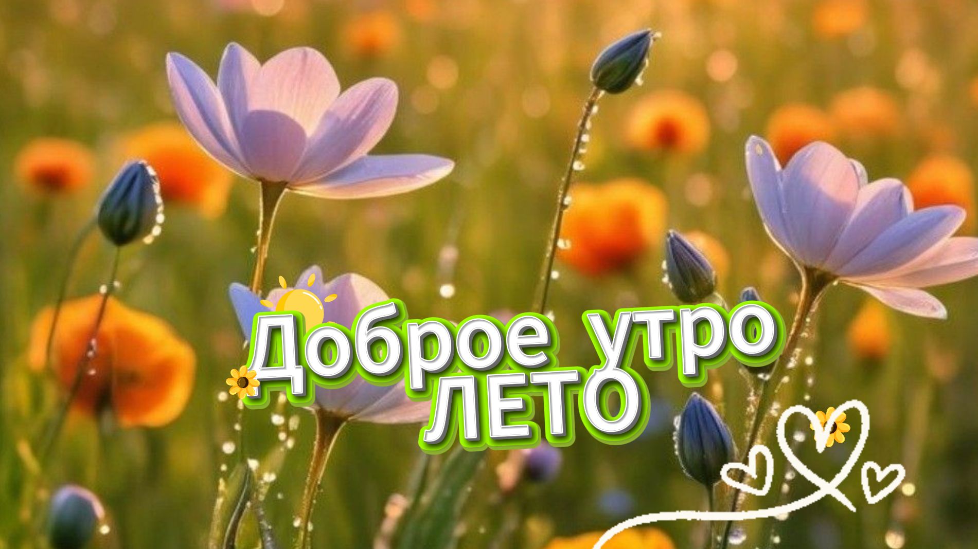 Доброе утро лето – музыкальная открытка с душой. Заберите на телефон
