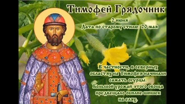 2 июня народные приметы что можно делать, а чего нет
