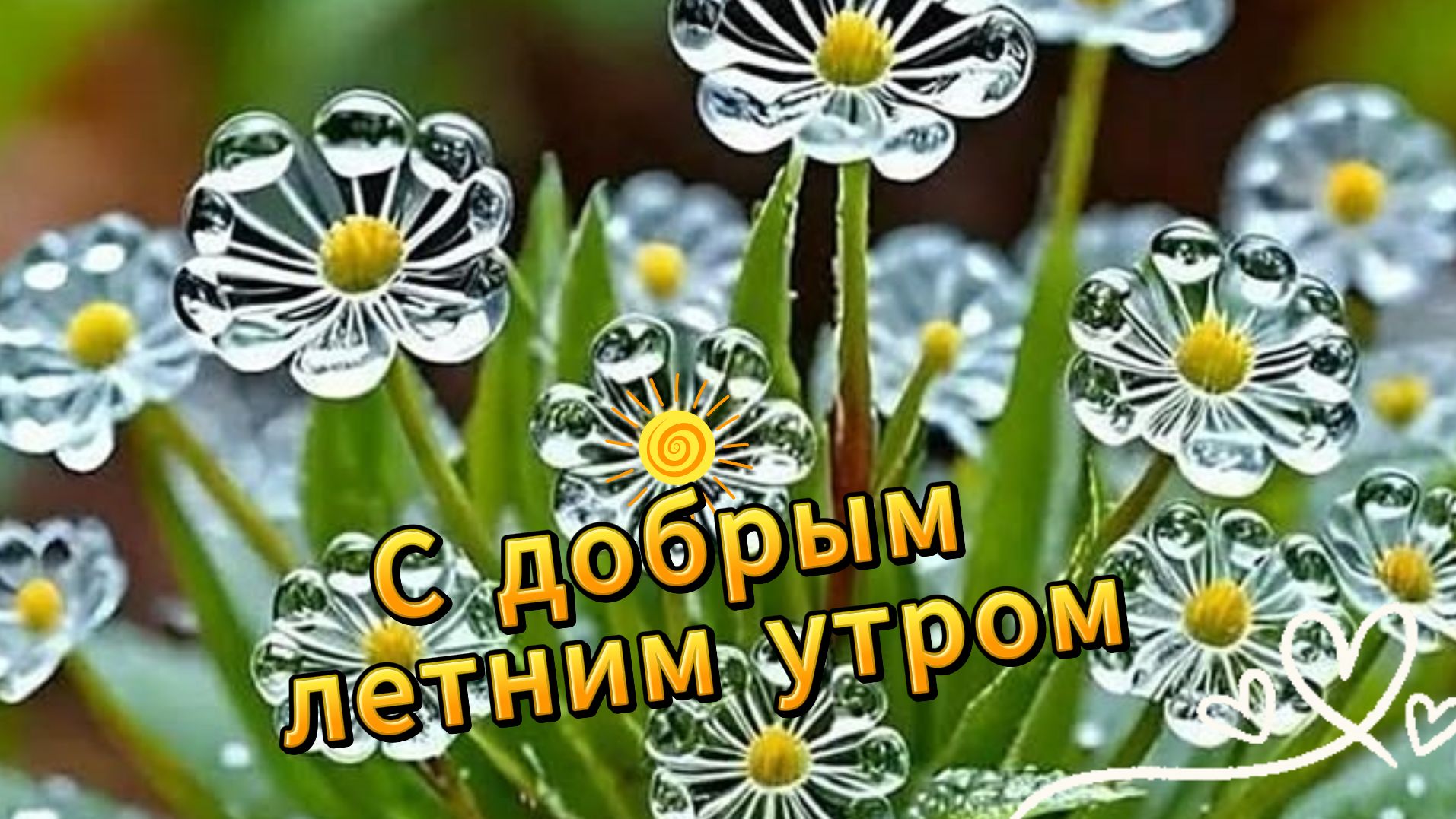Доброе первое утро лета – красивая музыкальная открытка с пожеланиями.