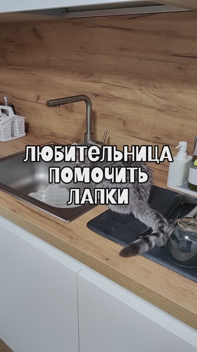Любительница помочить лапки