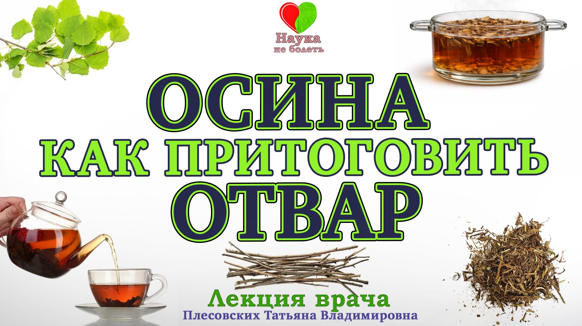 ОТВАР ОСИНЫ -||- КАК СДЕЛАТЬ ТРОЙНОЙ ОТВАР ОСИНЫ - ПРАВИЛЬНО? -||- ОСИНА ПОЛЬЗА