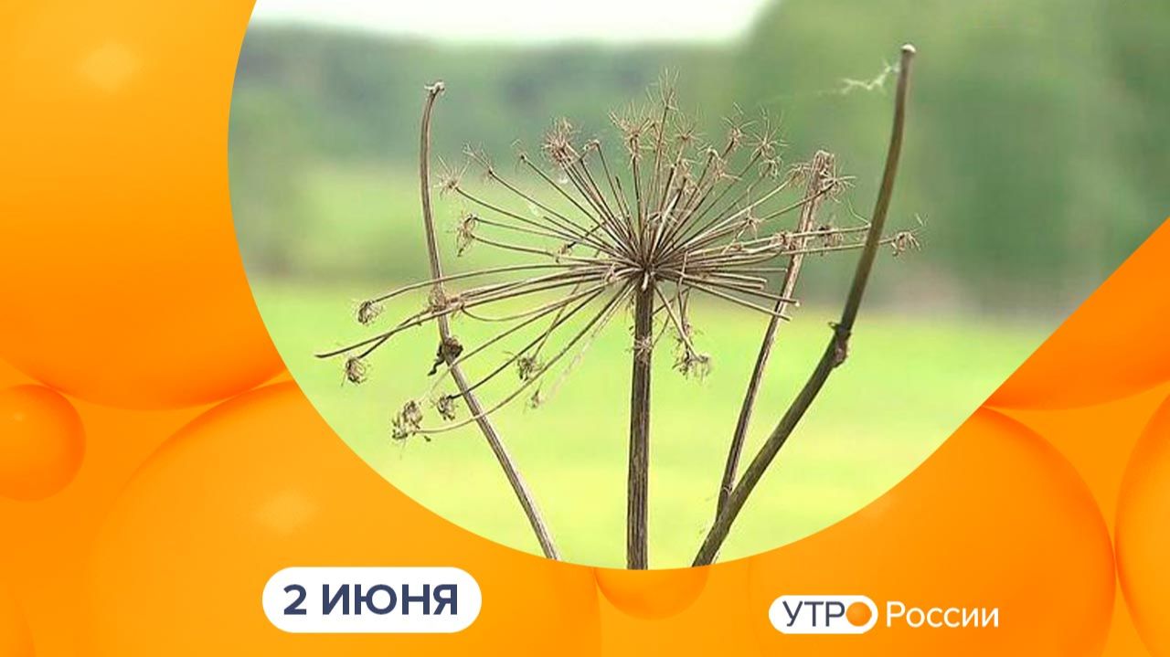 Утро России. Калуга (02.06.2026)