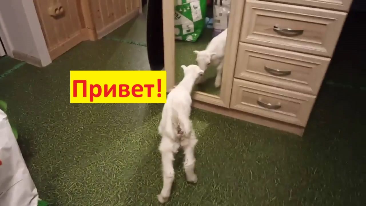 Кто этот милый парень?