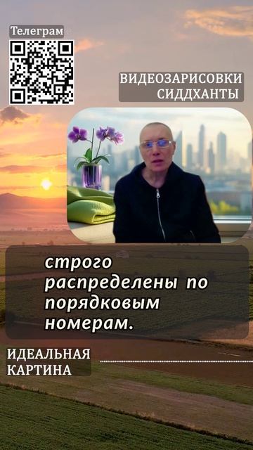 Идеальная картина. Видеозарисовки Сиддханты (Вячеслава Чернина)
