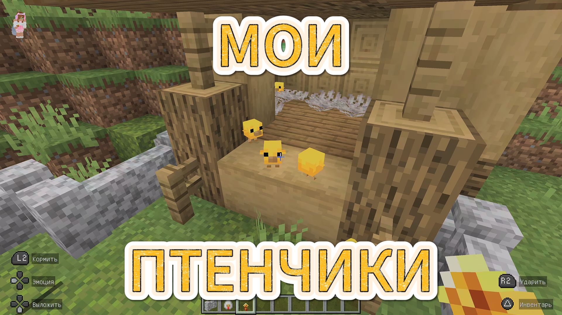 МИЛЕНЬКИЕ ПТЕНЧИКИ! Играем c Amira Cat в Minecraft (Майнкрафт)