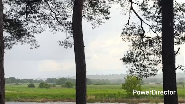 Липецкая обл. с.Пасечки 31.05.26 г.