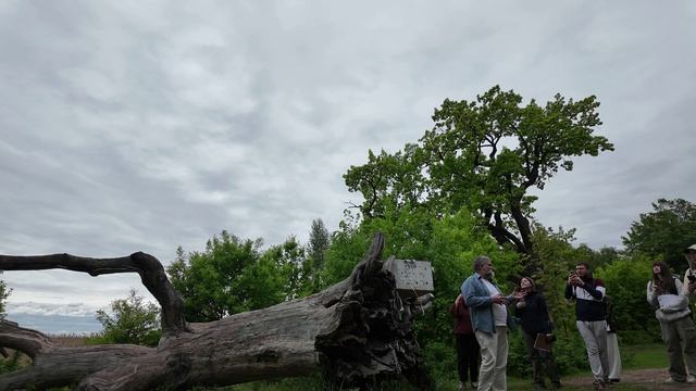Свободу канюкам