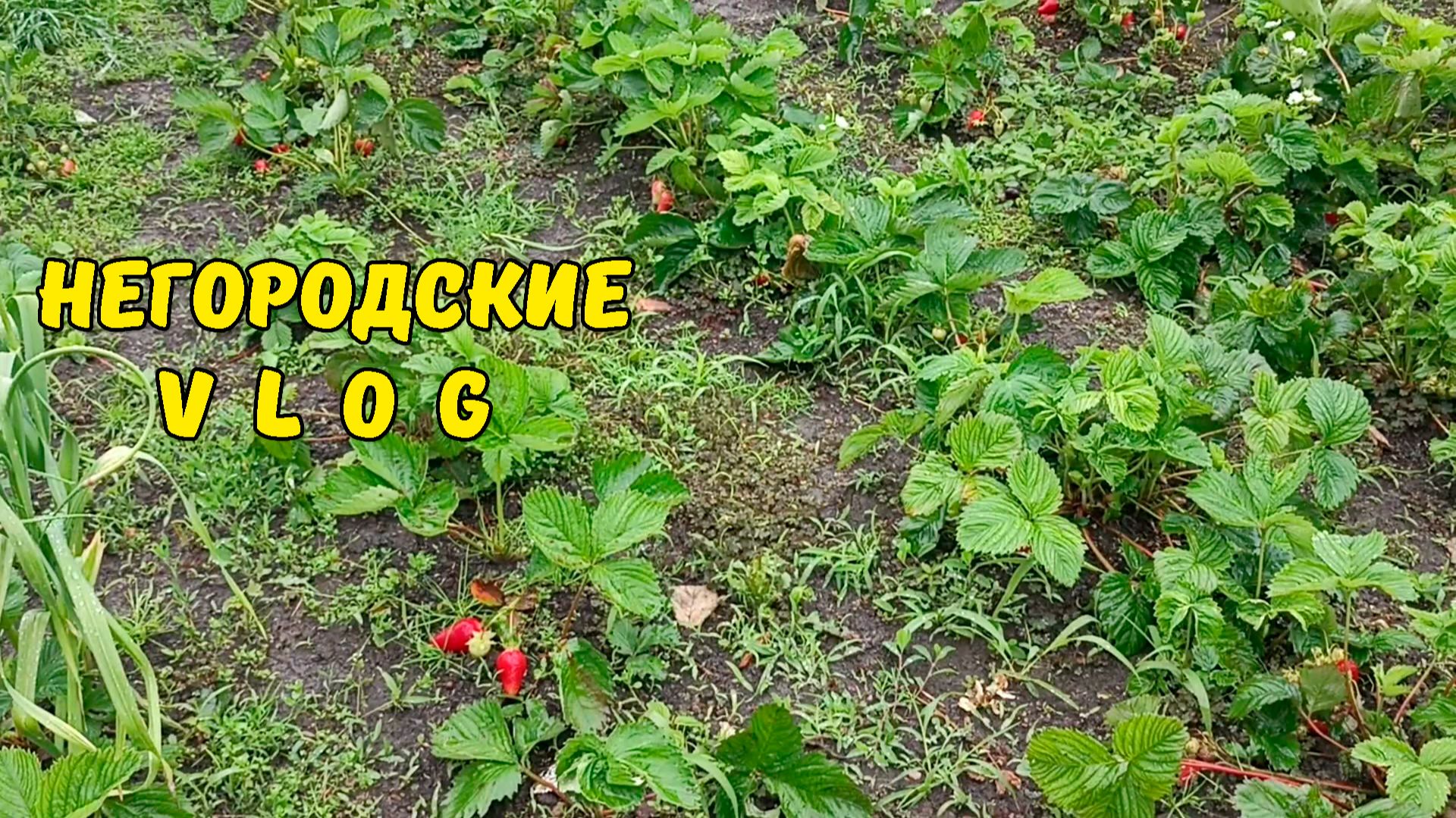 А вот и лето! Дождались! 1.06.26