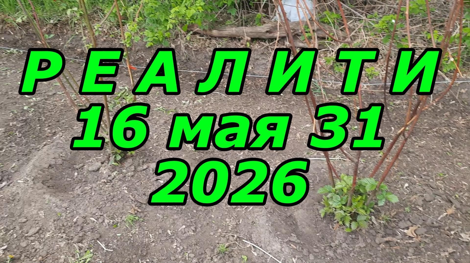 Реалити-16-31_05_2026