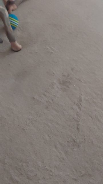фрэя с мячиком