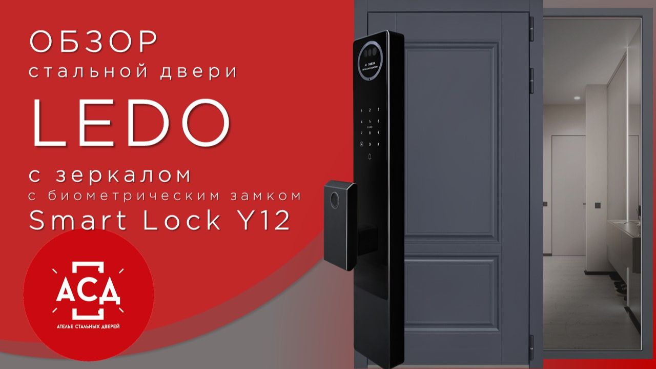 Стальная дверь Ledo с зеркалом c биометрическим замком Smart lock Y12