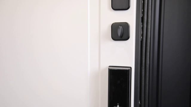 Стальная дверь Ledo c биометрическим замком Smart lock DZ888