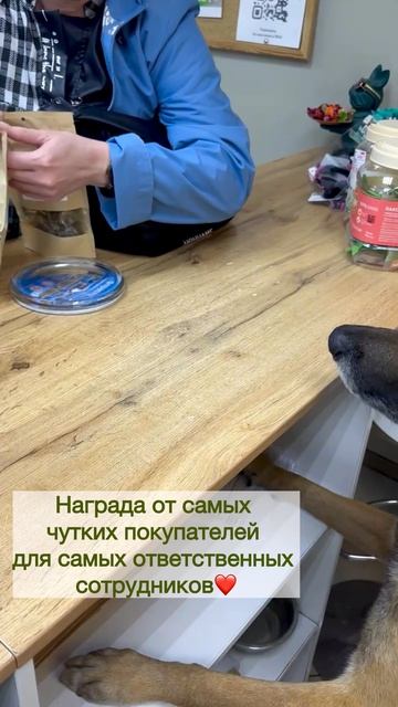 Любимые покупатели: угощение для питомцев | «Мистер Гав» Челябинск #shorts