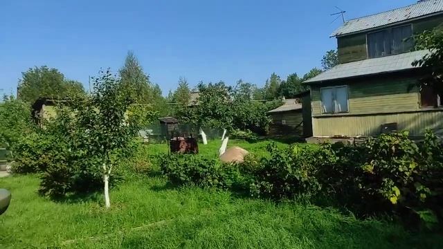 121-.Дача..Лилейники и Флоксы отцветают 30.08.22.