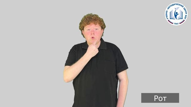 13 - Части тела - Рот