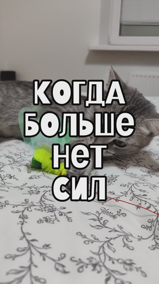 Когда больше нет сил