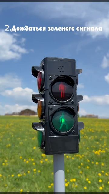 Внимательность на дороге — забота о себе и окружающих!