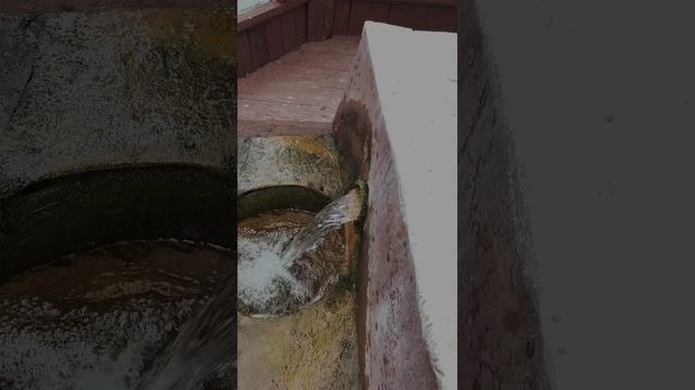 Неожиданная находка на пути в Нижний Новгород: Святой источник и заброшенный храм