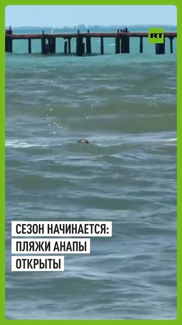Пляжный сезон открыт: туристы возвращаются в Анапу