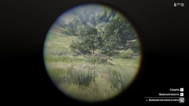 Red Dead Redemption 2 . Прохождение 14