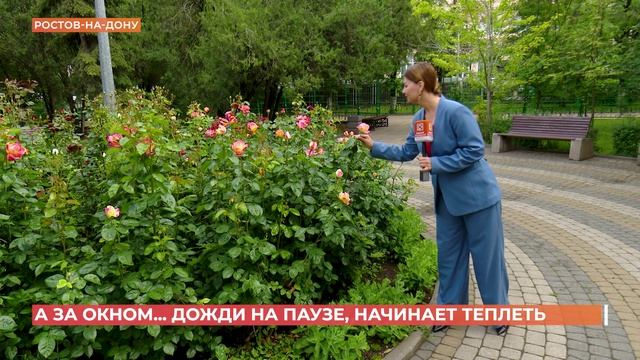 А за окном. 1 июня 2026